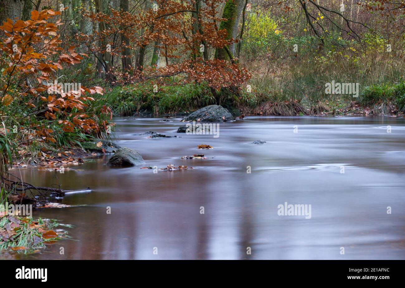 Long exposure forest photography Stock Photo - Alamy