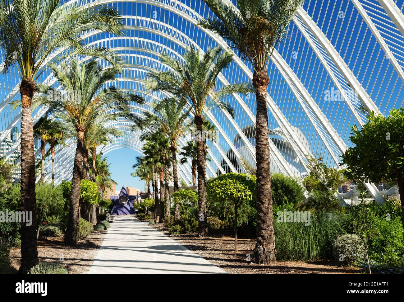 L'Umbracle, a landscaped walk part of the City of Arts and Sciences or ...