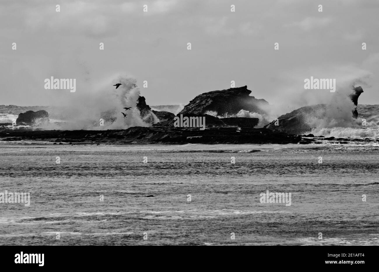 Big wave surf hi-res stock photography and images - Alamy