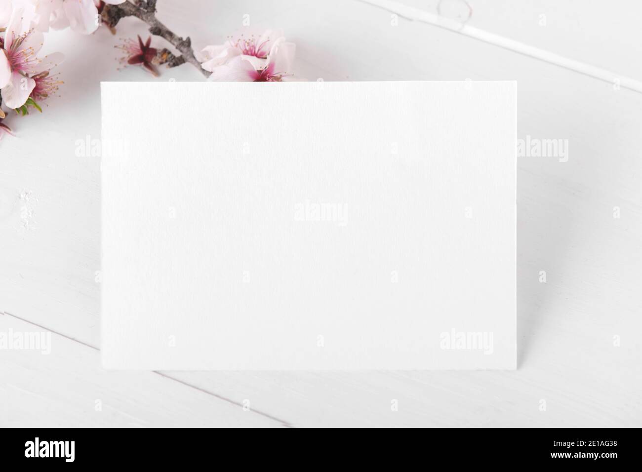 White empty card mockup with blooming almond tree branch. Valentine's ...