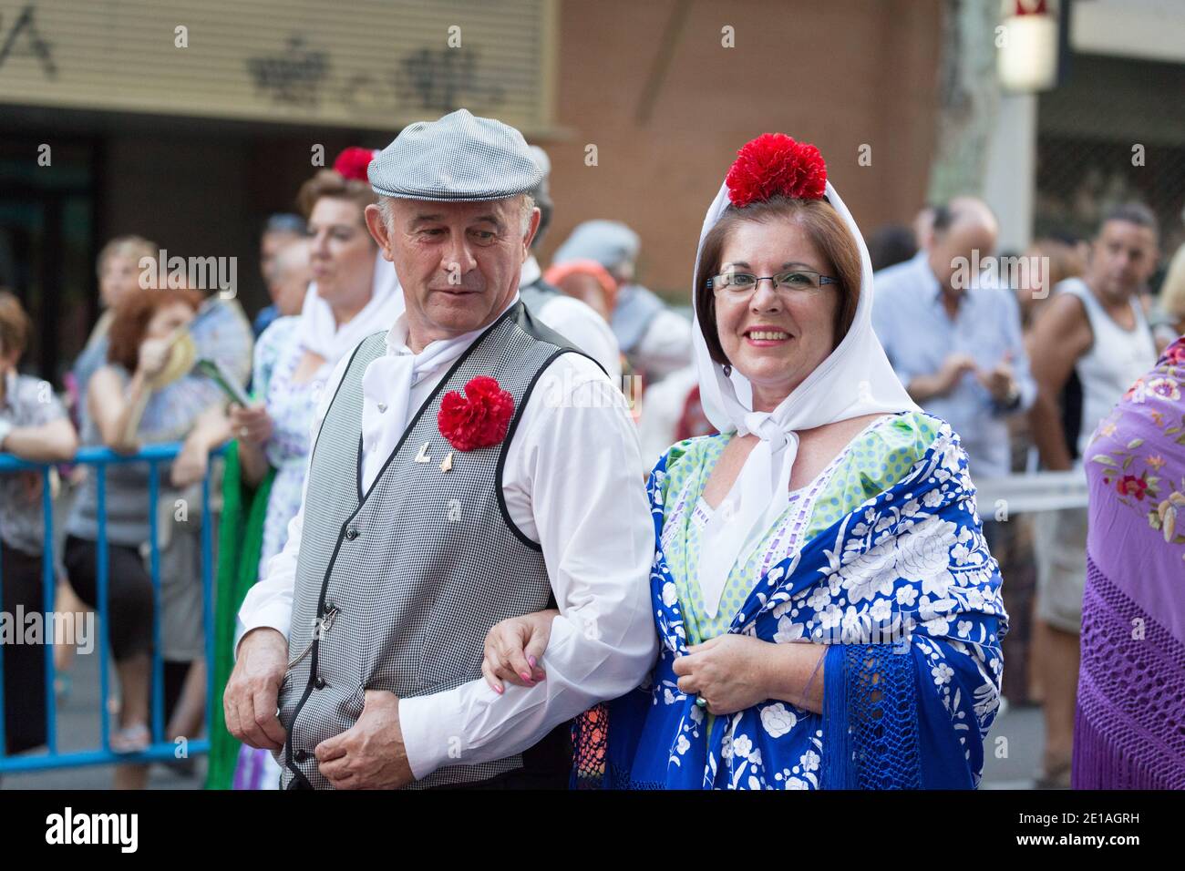 Verbena de la paloma hi-res stock photography and images - Alamy