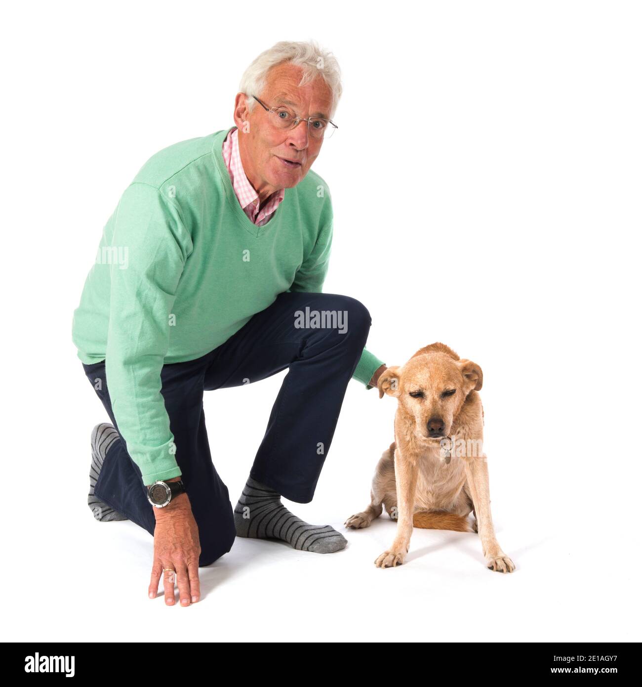 Retired happy retirement dog Cut Out Stock Images & Pictures - Alamy