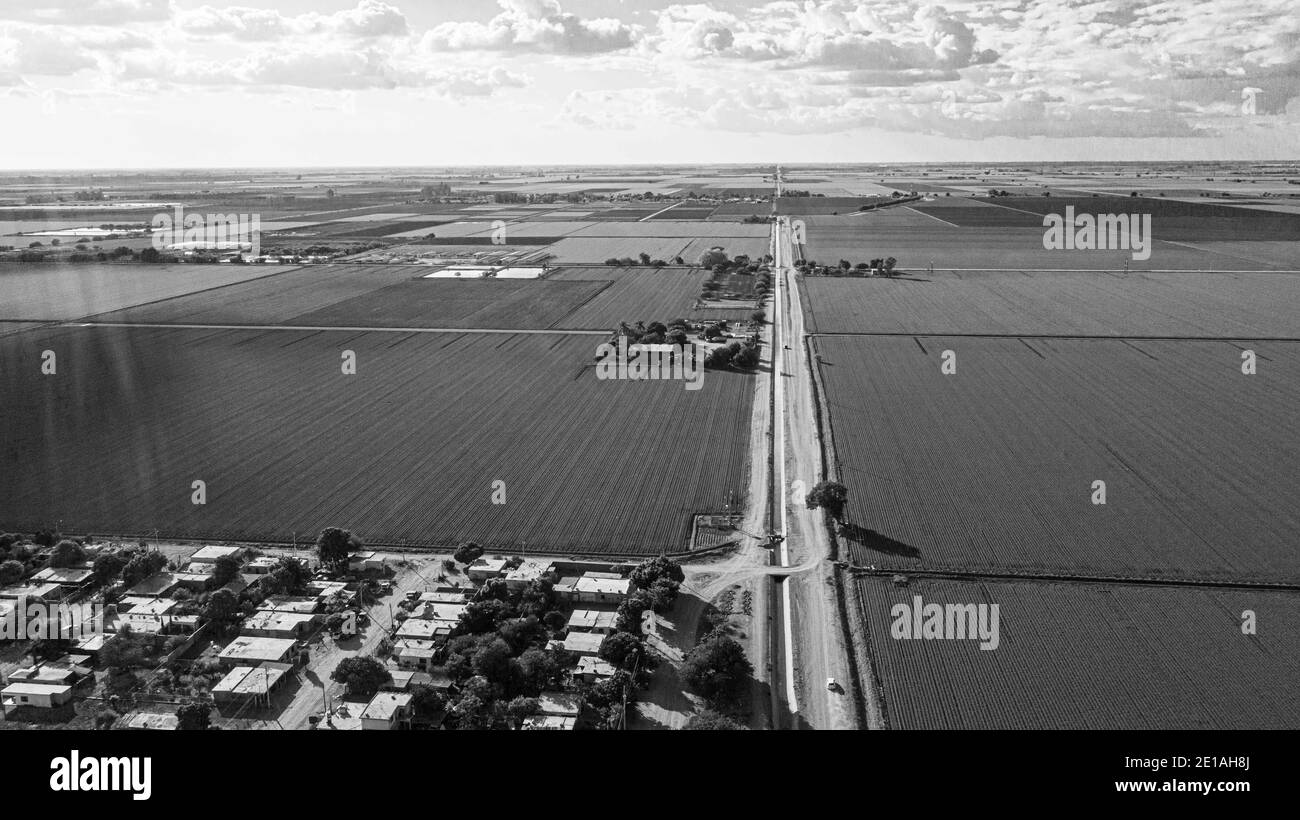 Aerial view of plots, hectares of crops in the town of Marte R Gómez or ...