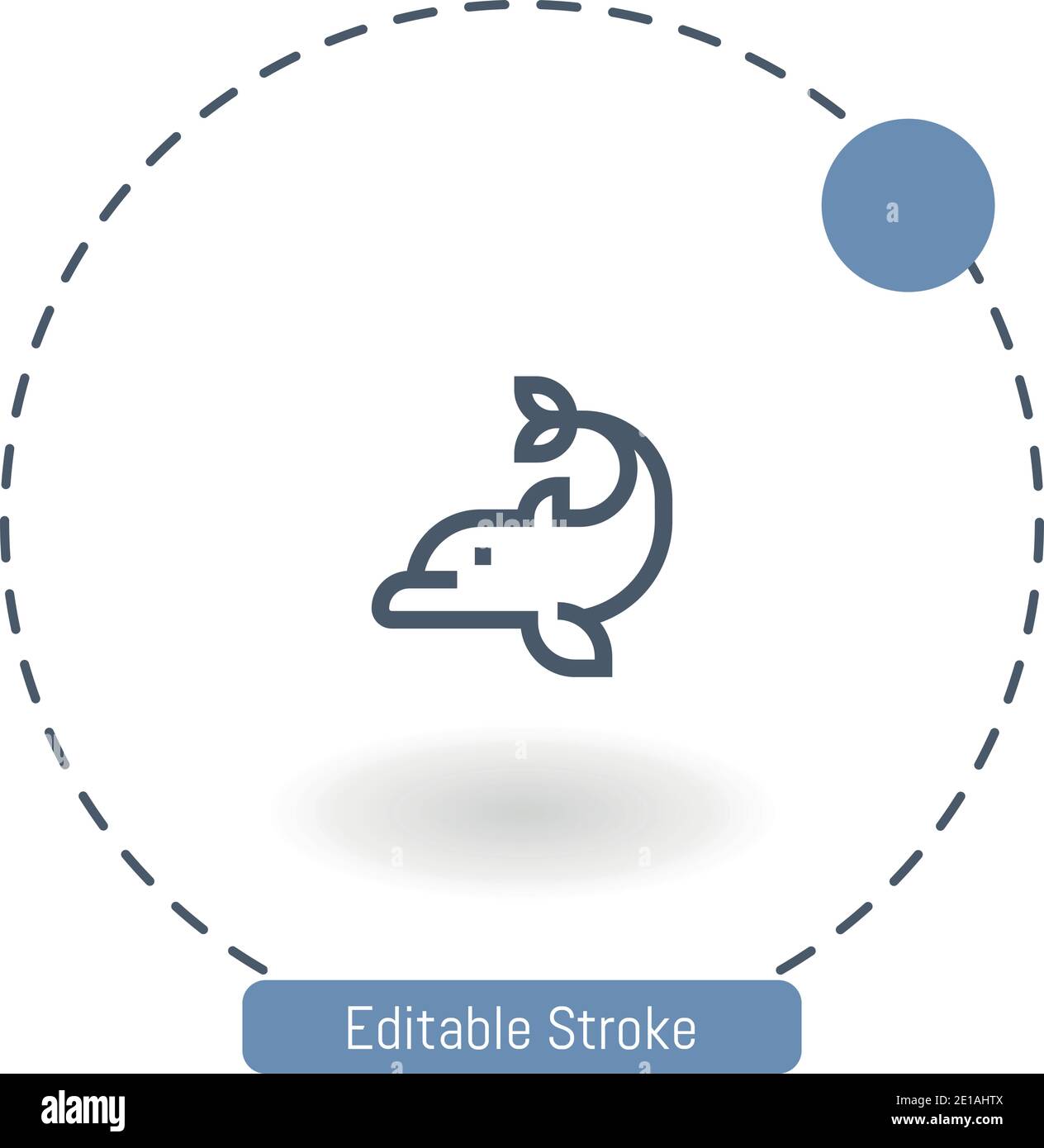 dolphin vector icon editable stroke outline icons for web and mobile ...