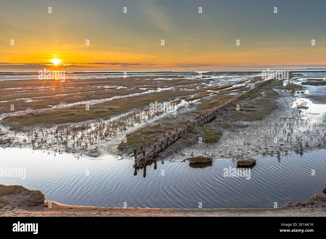 Aerial view of salt marsh hi-res stock photography and images - Alamy