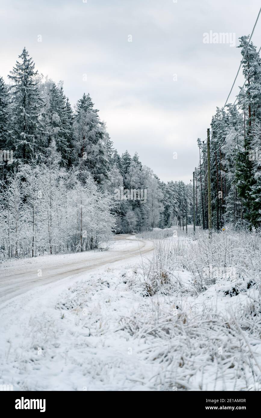 Snowy winter scenery of a forest road Stock Photo - Alamy