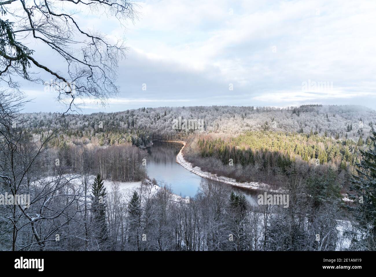 High resolution winter forest hi-res stock photography and images - Alamy