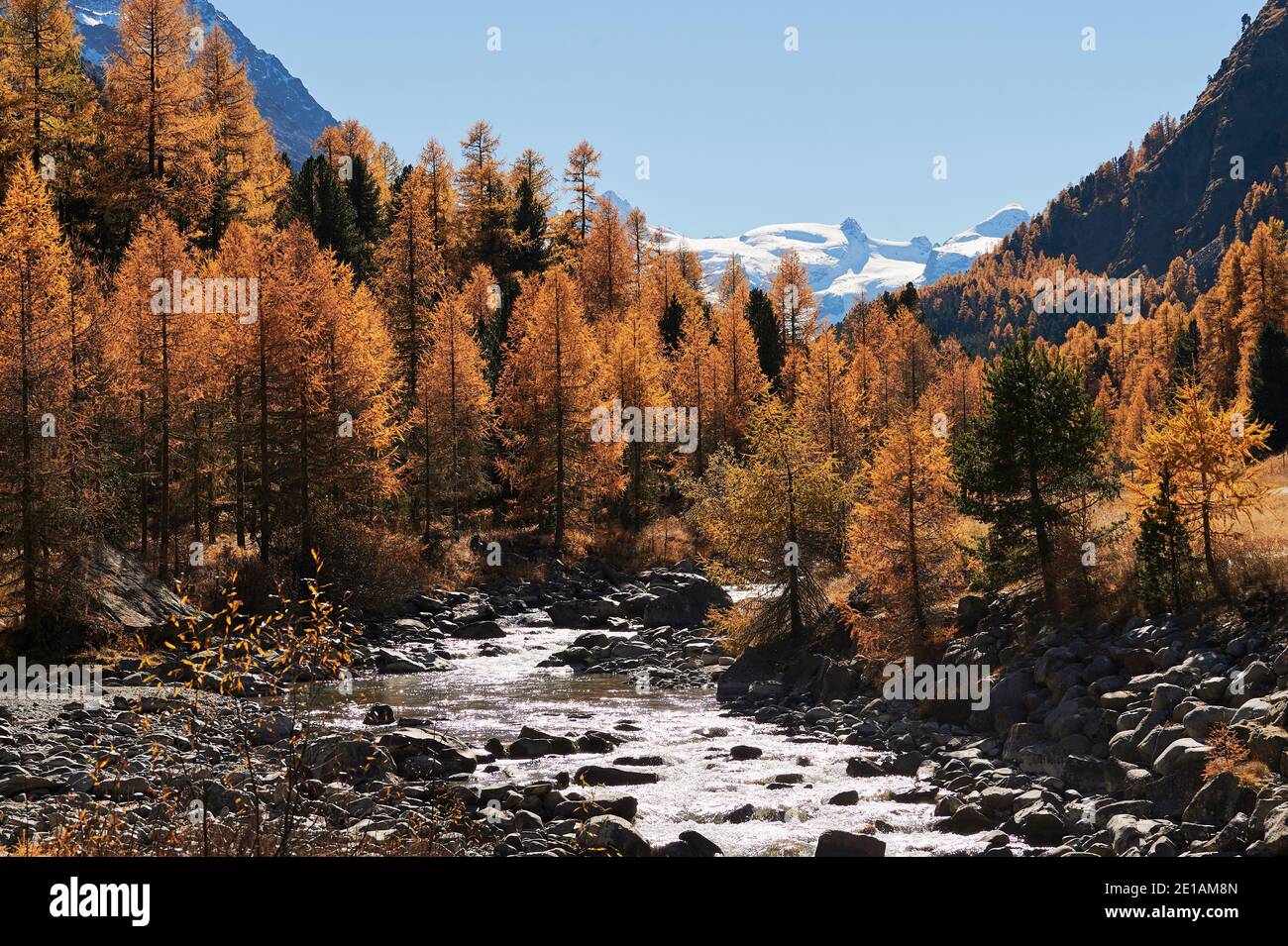 Natural alpine landscape in the Swiss Alps, with a stream and beautiful ...