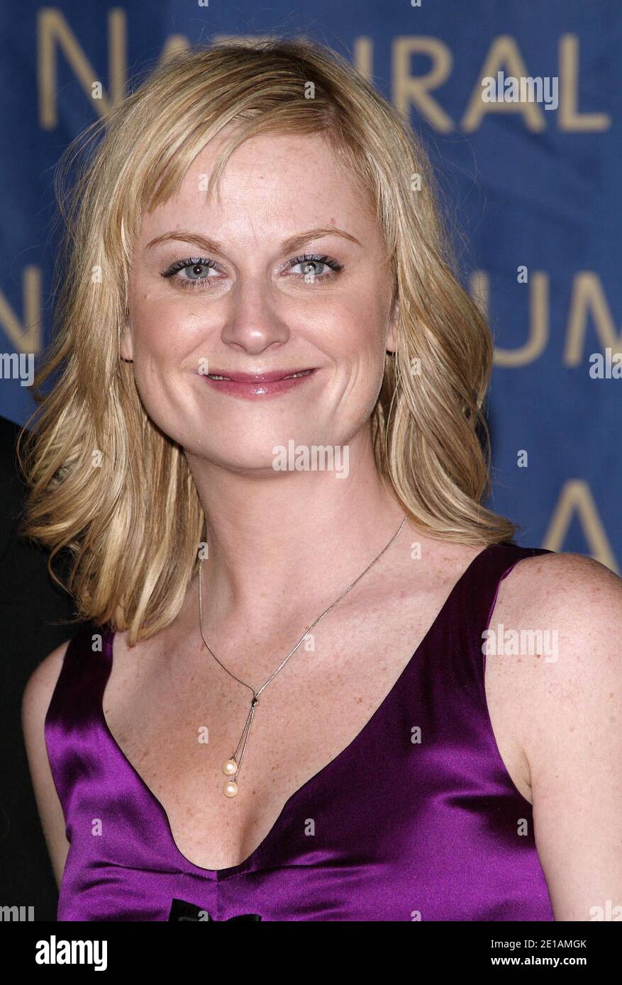 NEW YORK, NY- FEB 17: Amy Poehler arrives to the Heavenly Bodies Winter ...