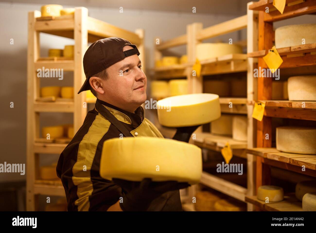 employees of a private cheese factory in production Stock Photo - Alamy