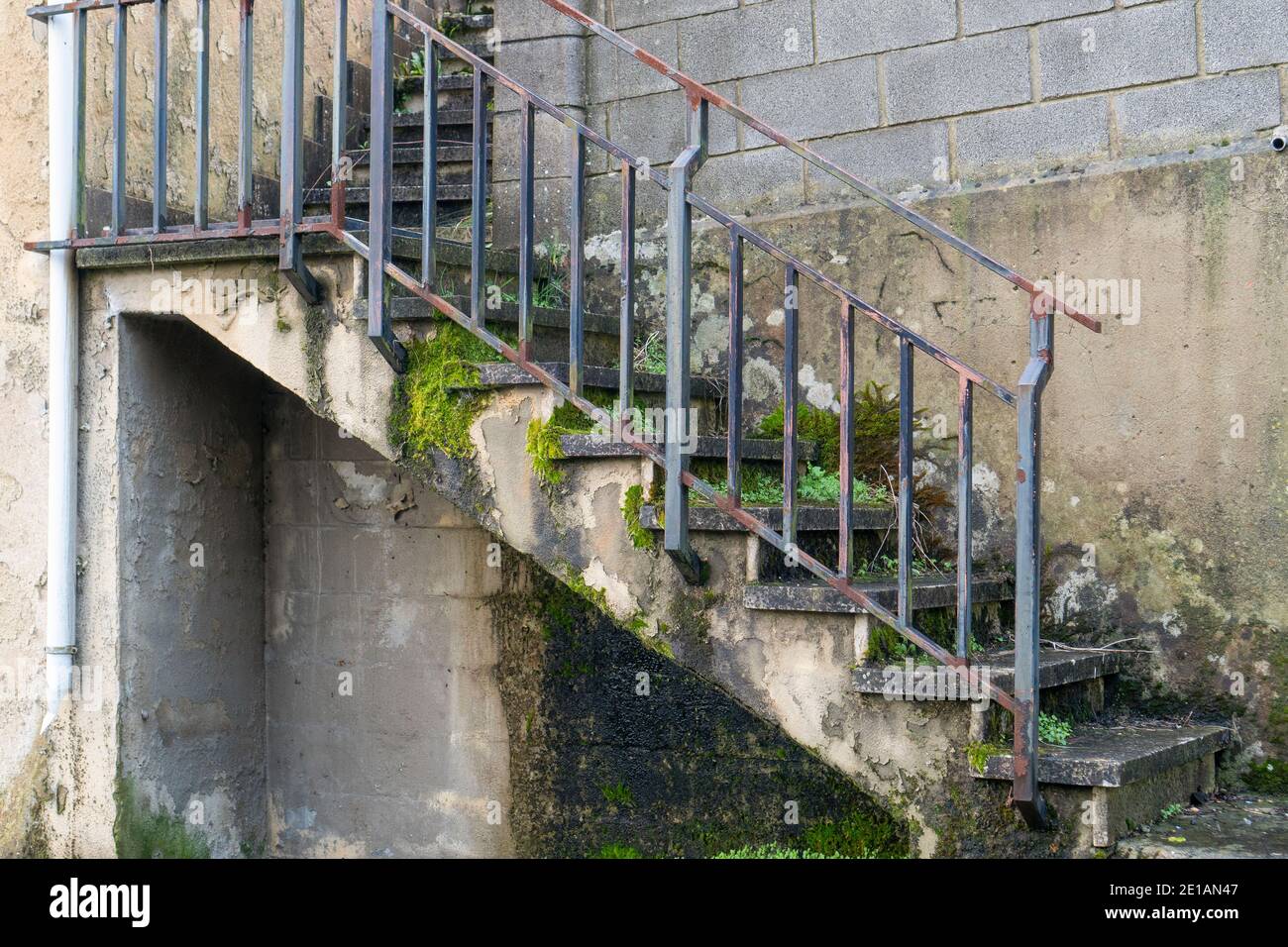 Old destroyed weathered concrete staircase overgrown with moss and mold ...