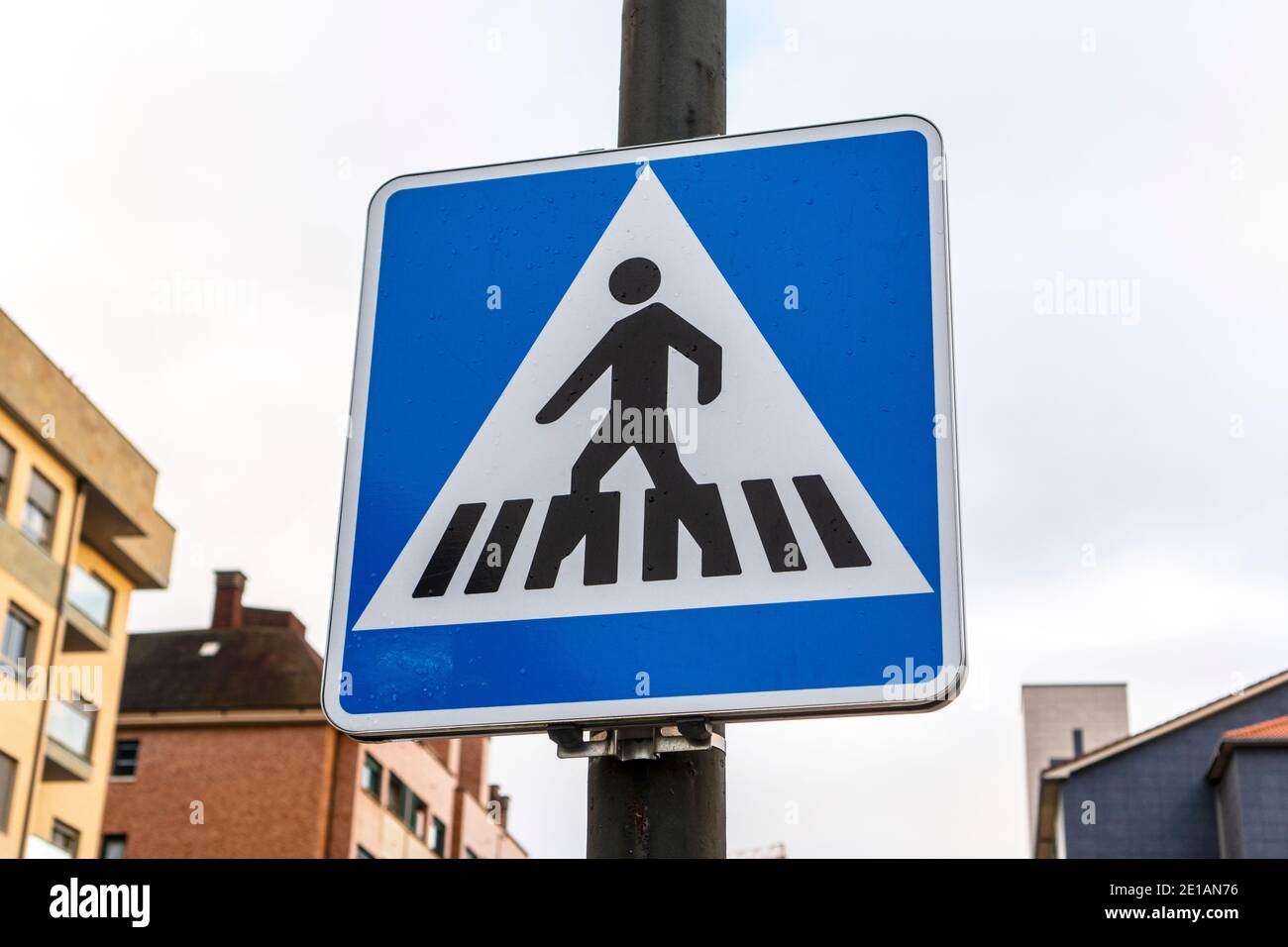 Pedestrian crossing road sign on the street close-up on a metal pillar ...