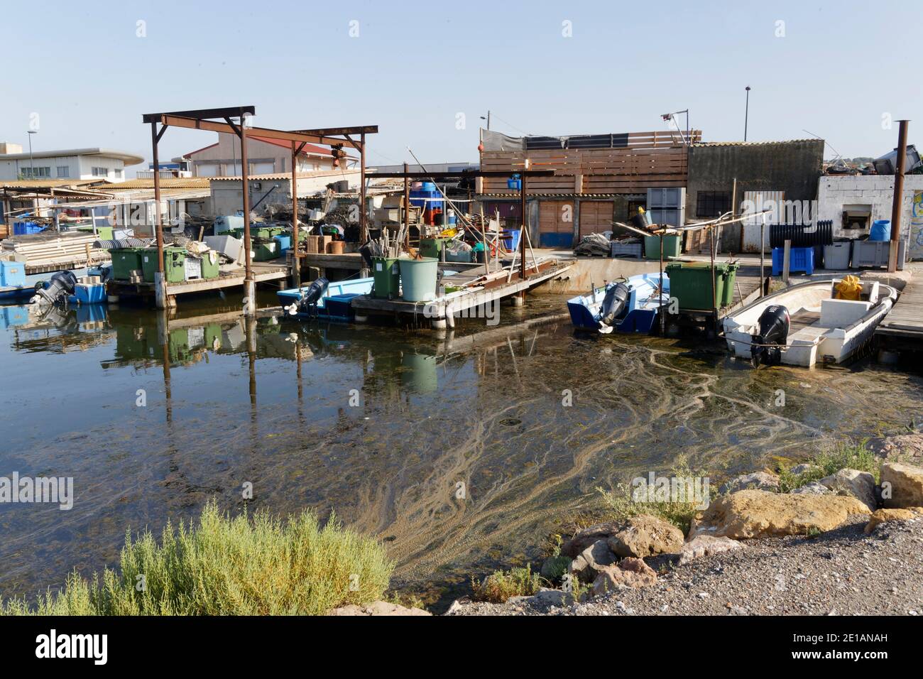 Sete, France.12th Aug,2018.View of the Thau lagoon with shellfish ...