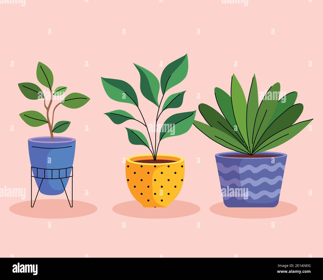 Plants 3 garden Stock Vector Images - Alamy