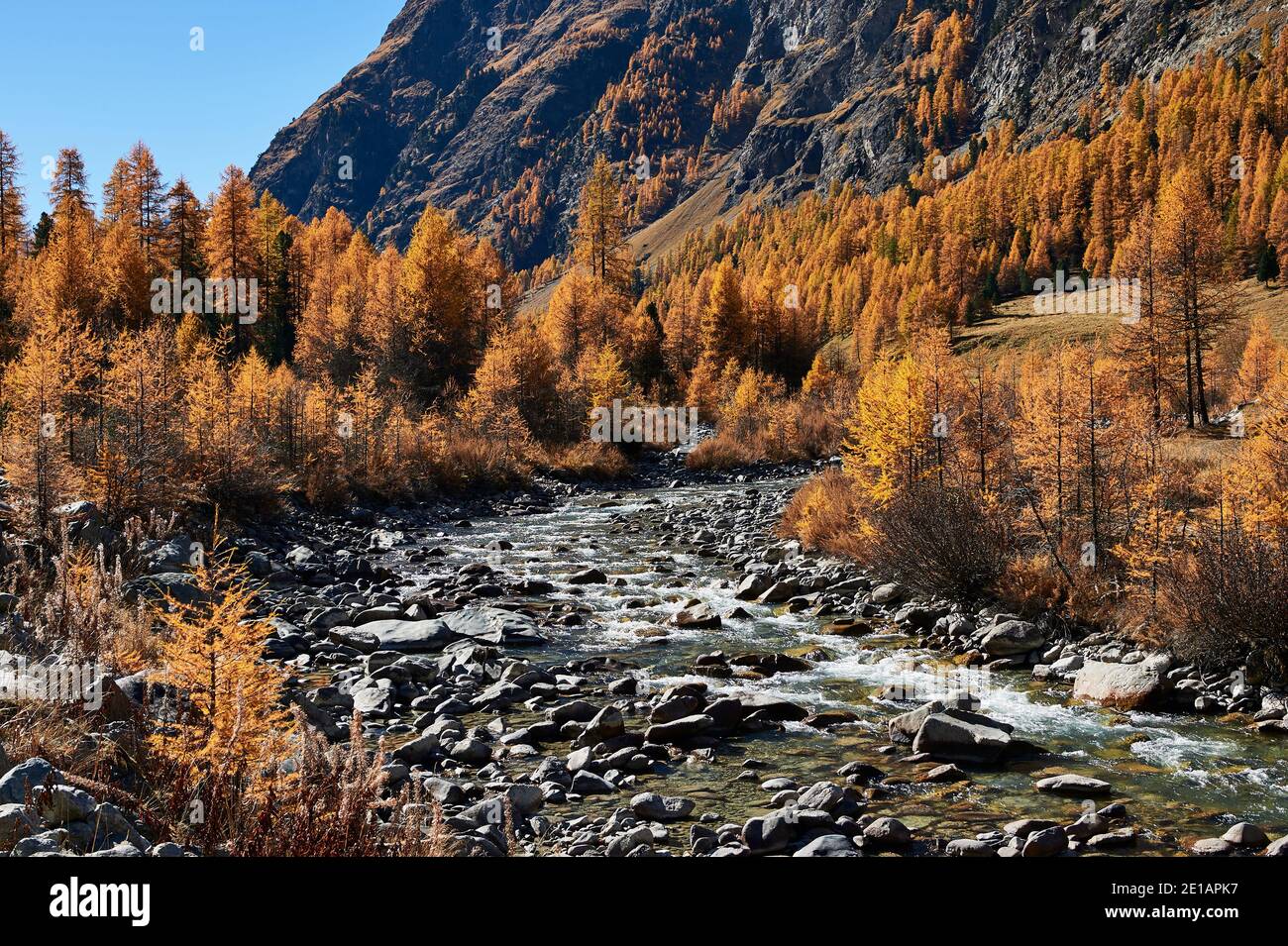 Natural alpine landscape in the Swiss Alps, with a stream and beautiful ...