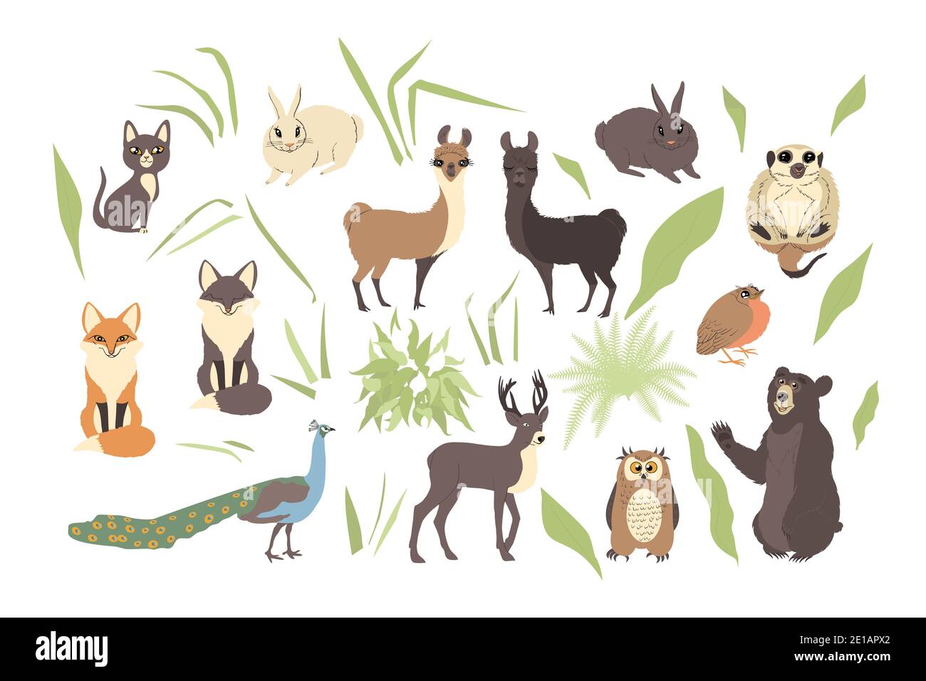 Flat style cute boho woodland animals set. Isolated on white Stock ...