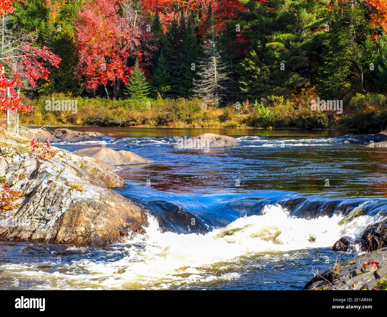 Gushing river decorated by the colors of fall, Chutes Prov Park, ON ...
