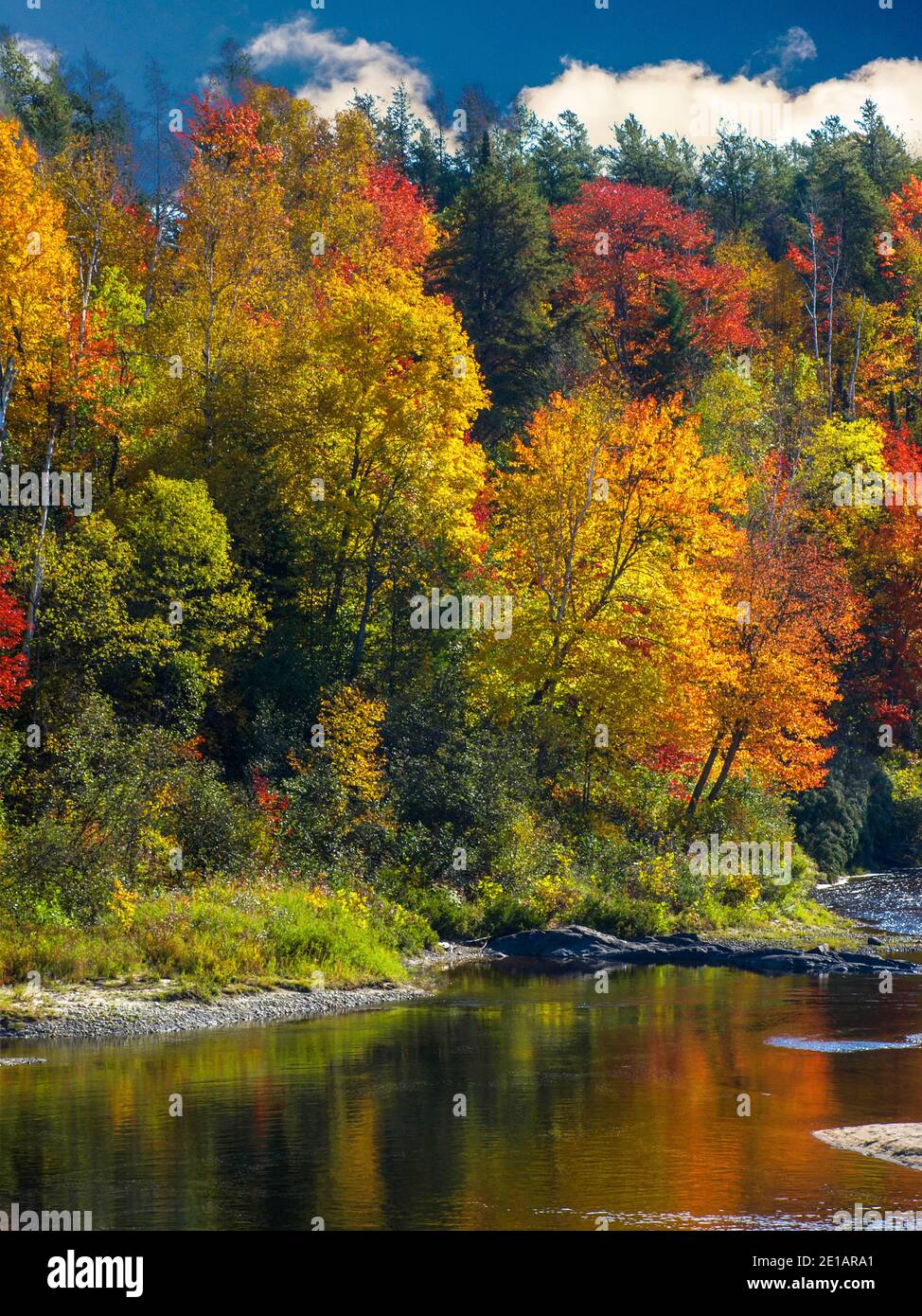 Rich fall foliage colors at the Chutes Prov Park, ON, Canada Stock ...