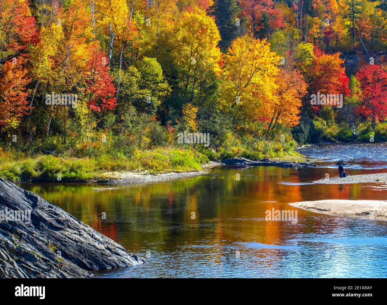 Gold and red reflecting off a slow meandering river, Chutes Prov Park ...