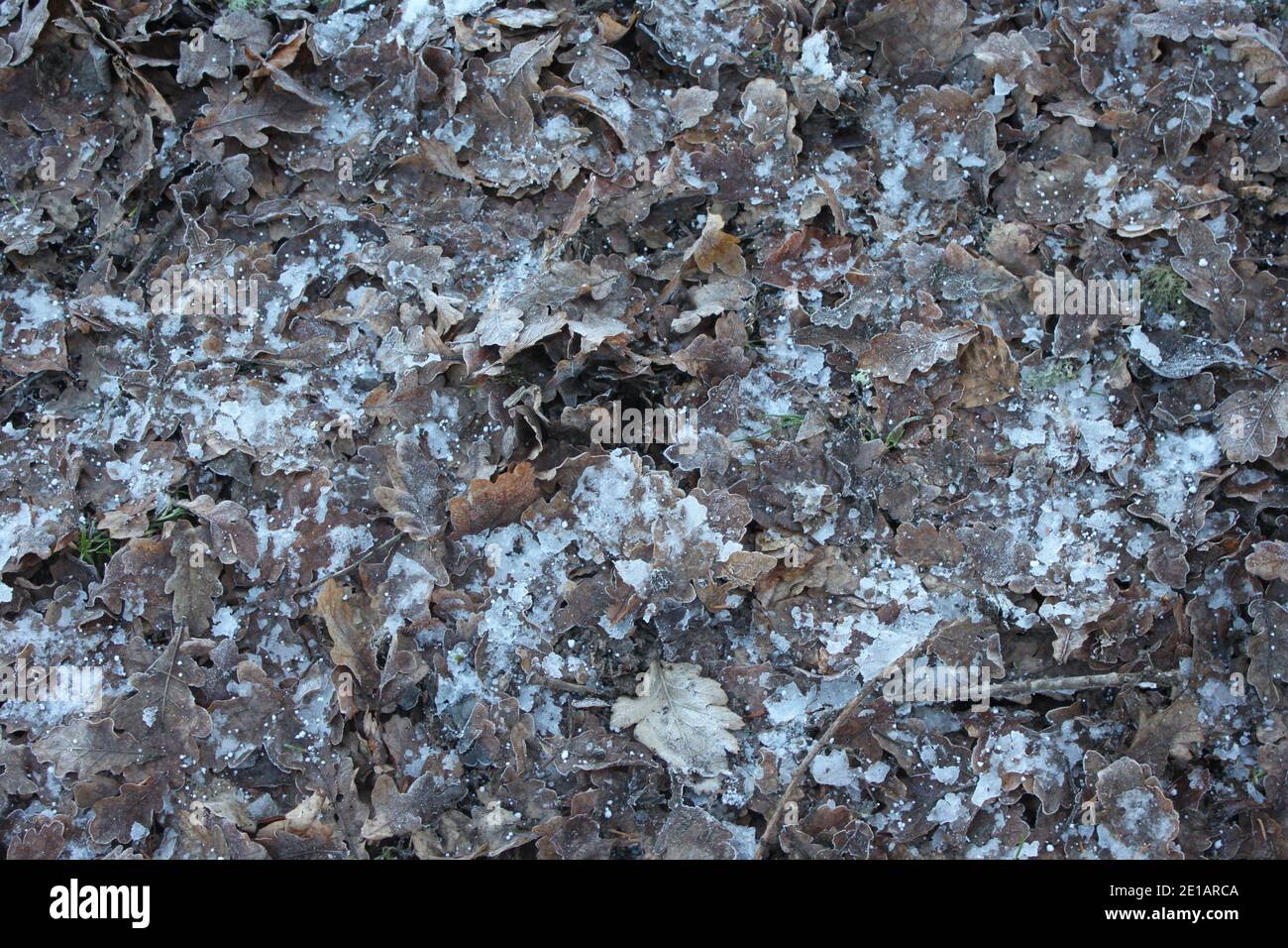 Burnt colours hi-res stock photography and images - Alamy