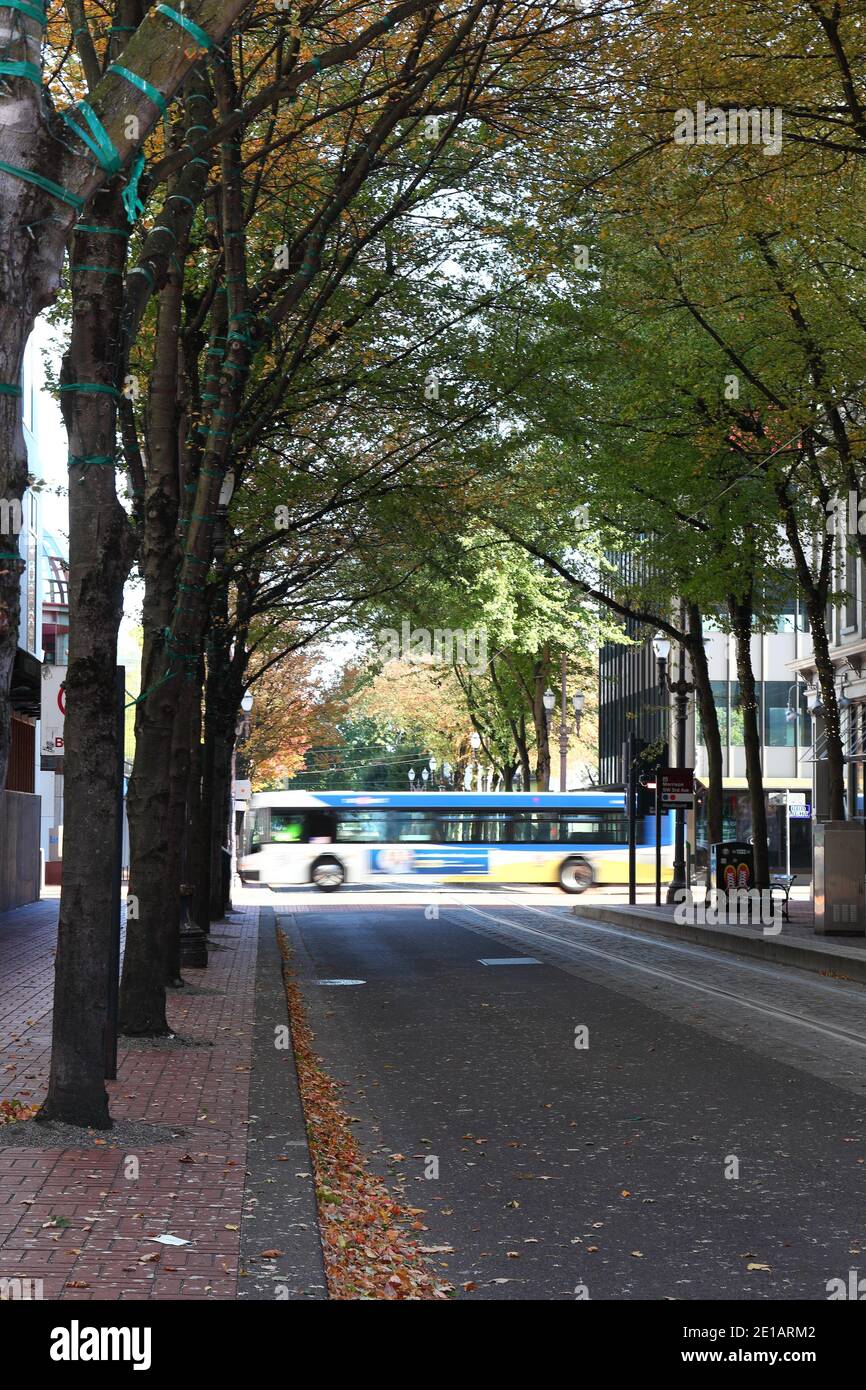 Downtown portland oregon bus hi-res stock photography and images - Alamy