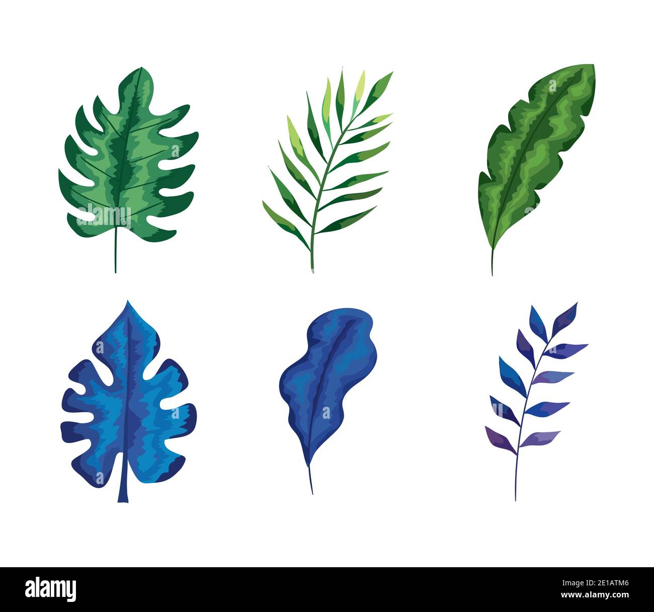 bundle of six leafs and branches set icons Stock Vector Image & Art - Alamy