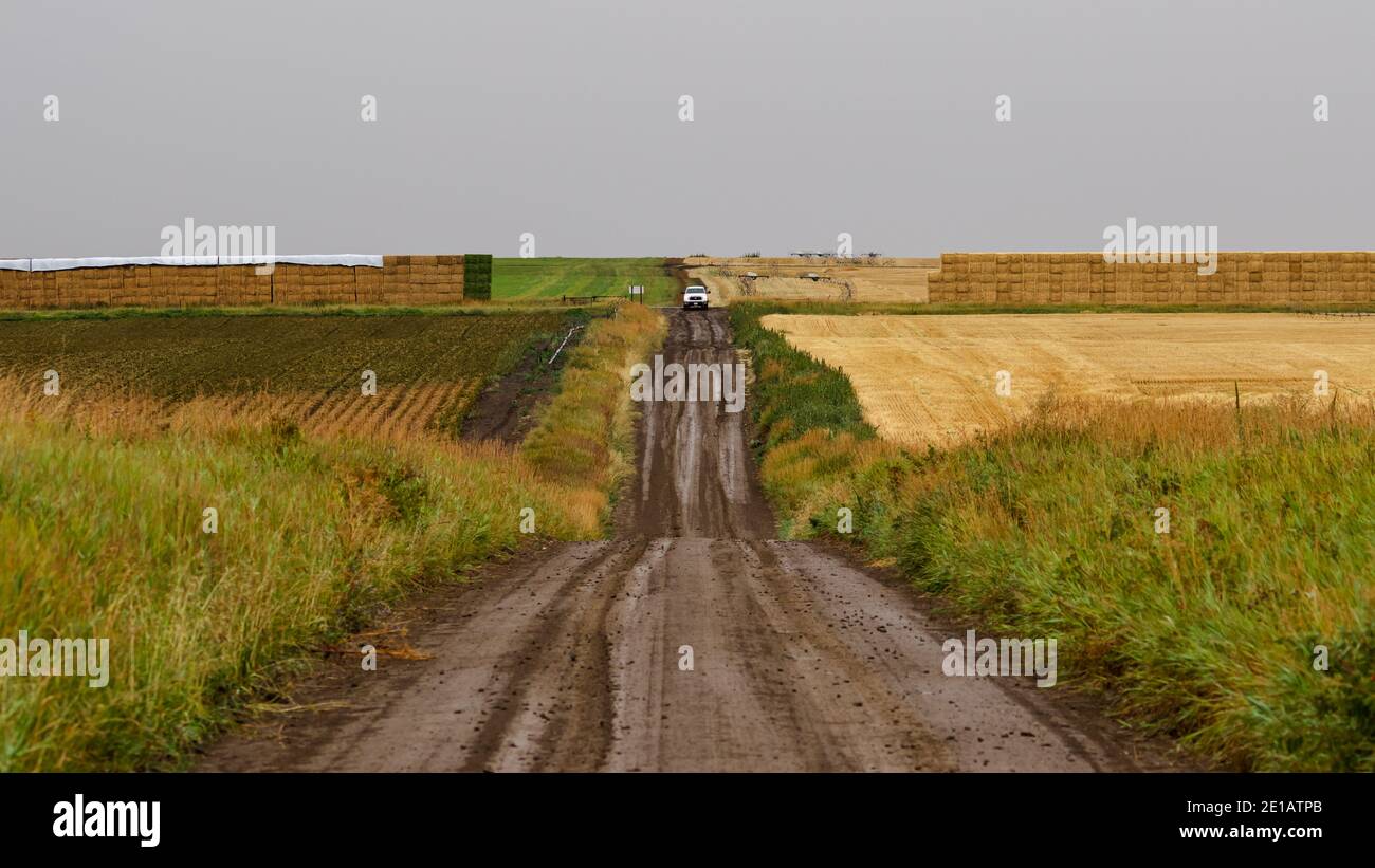 Hay Fields Country Road Stock Photo - Alamy