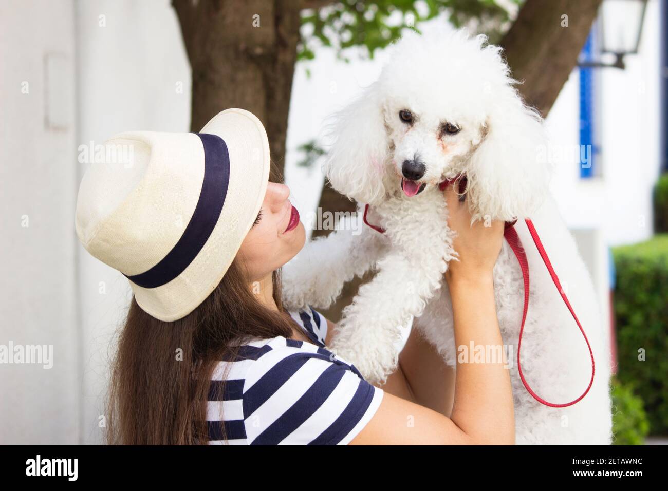 girl dog poodle cute Stock Photo - Alamy