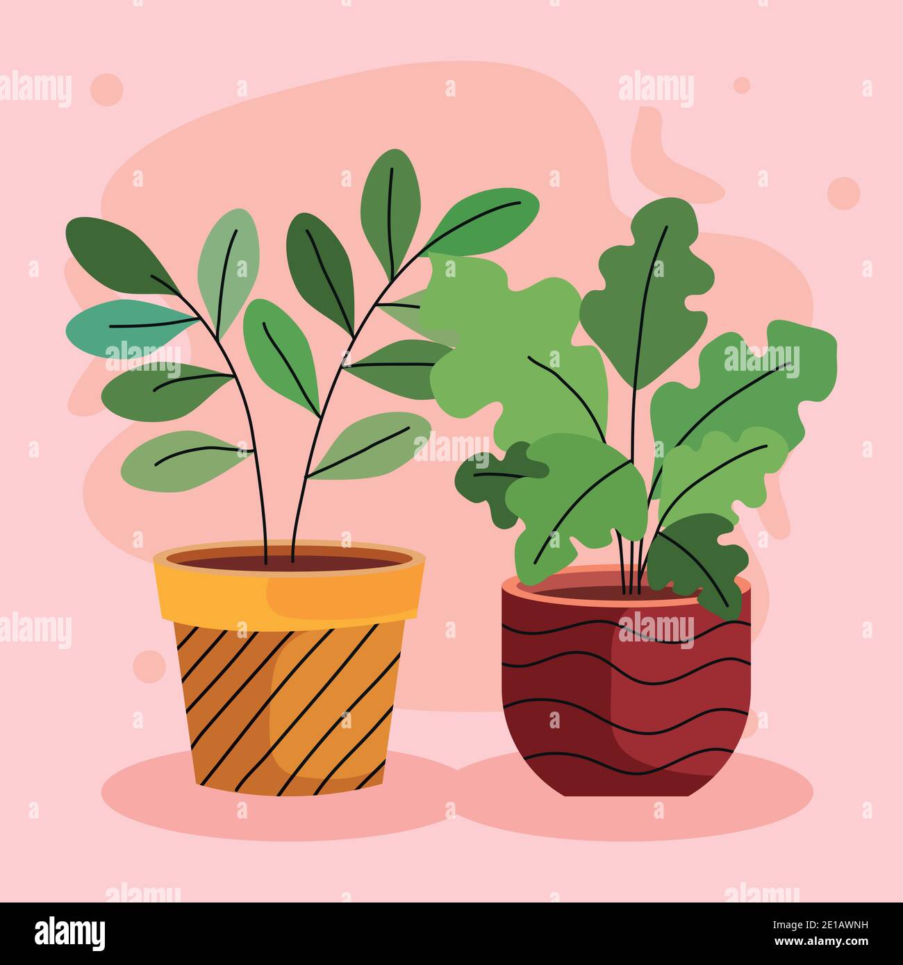 Two potted plants Stock Vector Images - Alamy