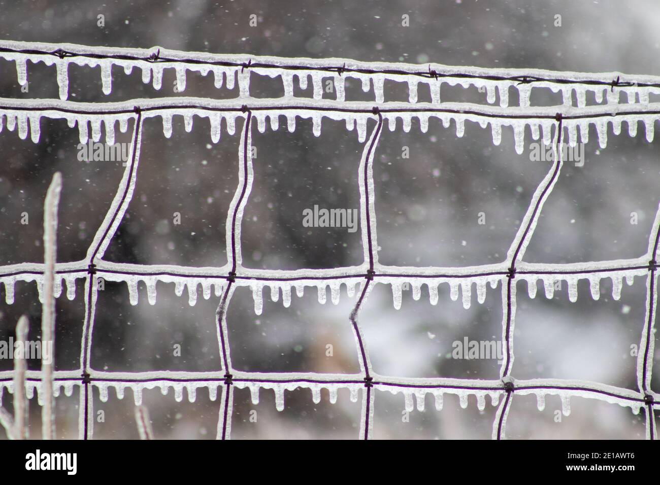 Icicles in the field hi-res stock photography and images - Alamy