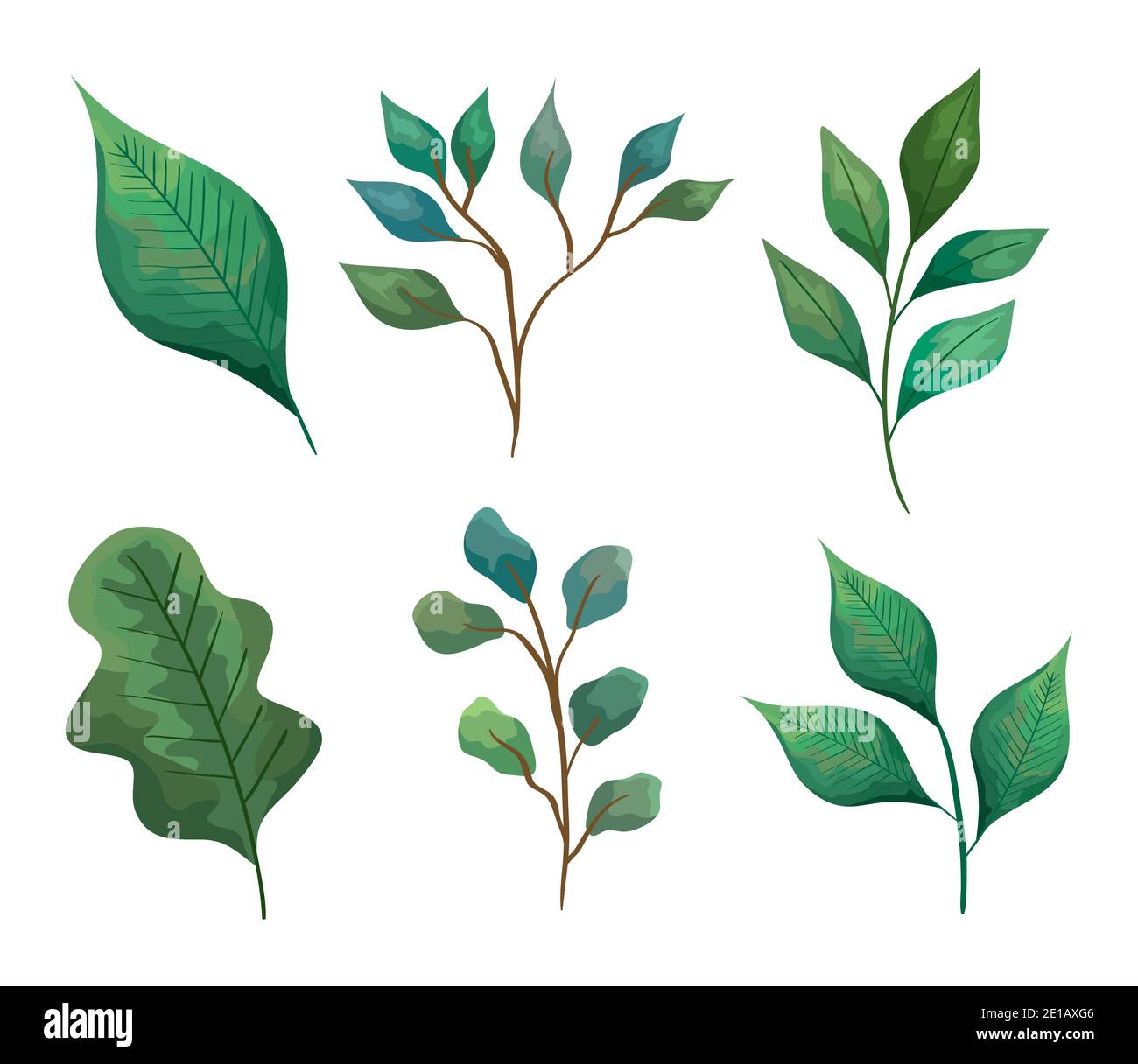 bundle of six leafs and branches icons Stock Vector Image & Art - Alamy