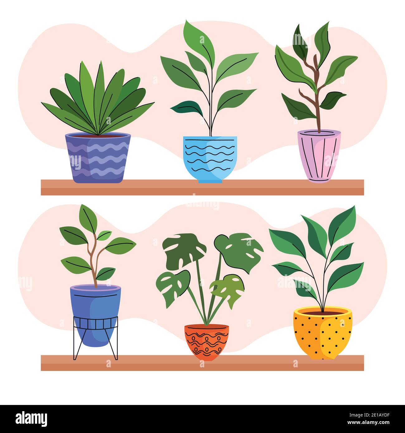 Houseplants shelf Cut Out Stock Images & Pictures - Alamy