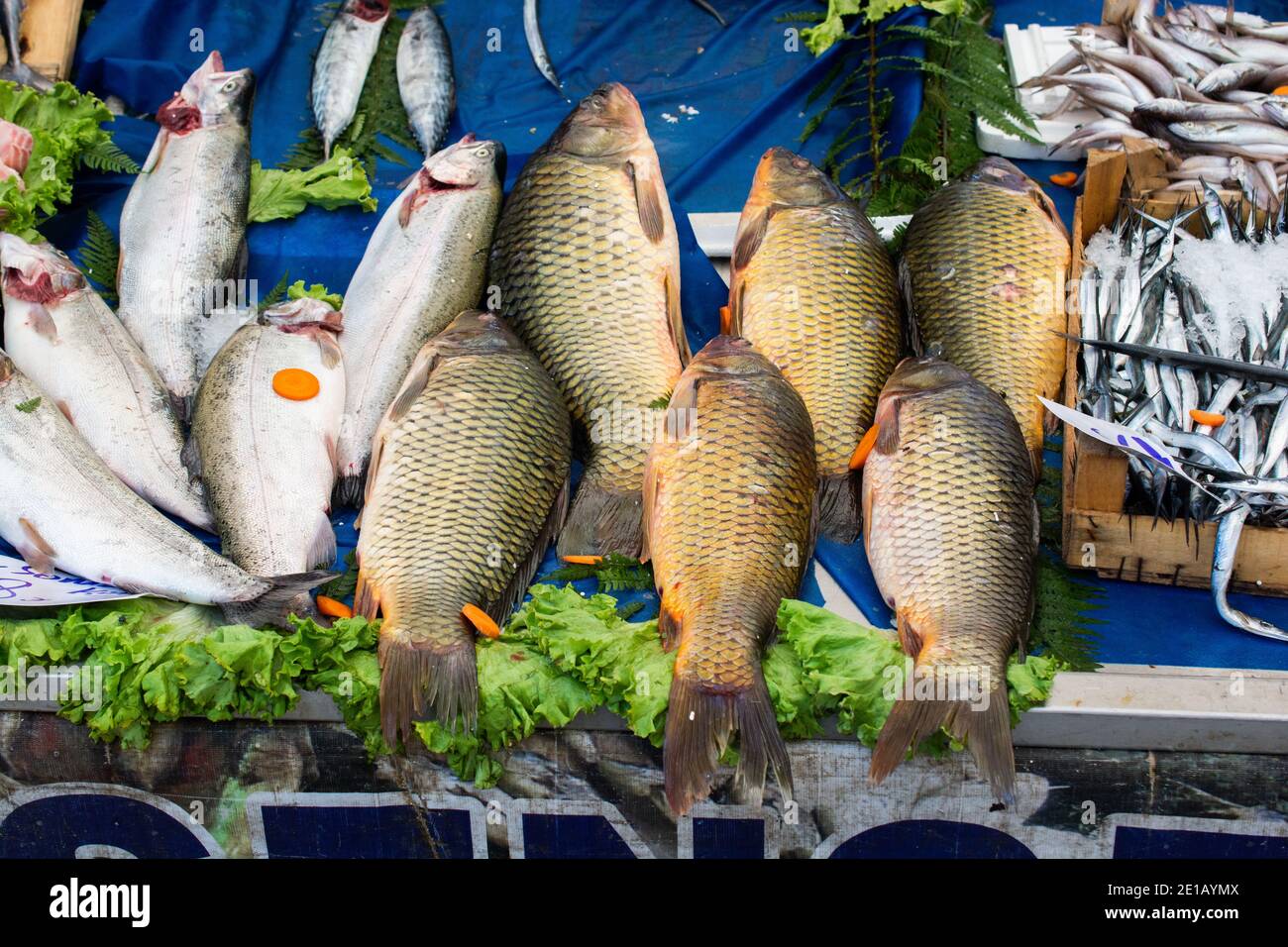 Fresh fish as sea food for sale at a fish market Stock Photo - Alamy