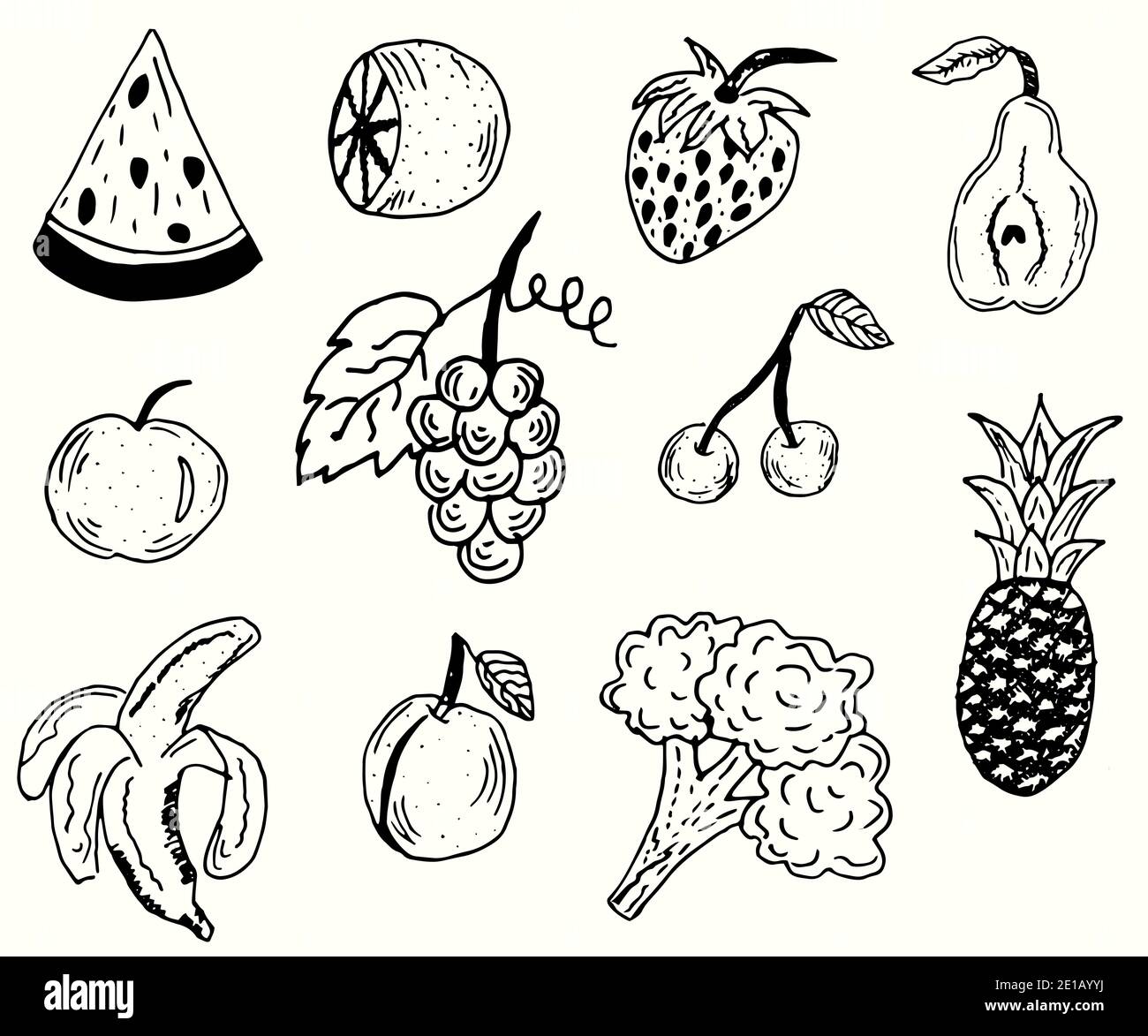 Set of hand-drawn fruits and vegetables. Linear vector illustration in ...
