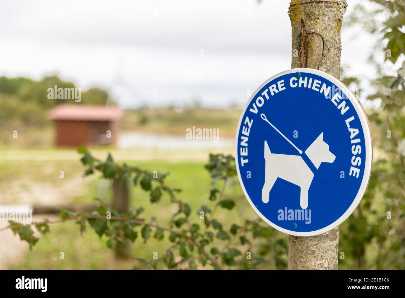blue sign in the countryside authorizing the walking of dogs with leash ...