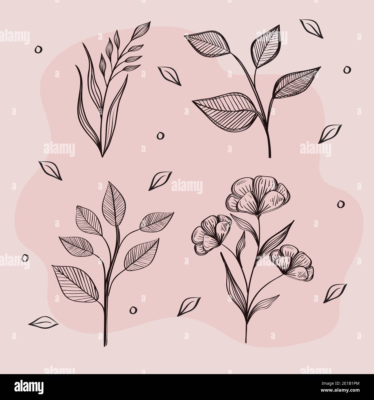 bundle of four flowers drawing nature ecology icons Stock Vector Image ...