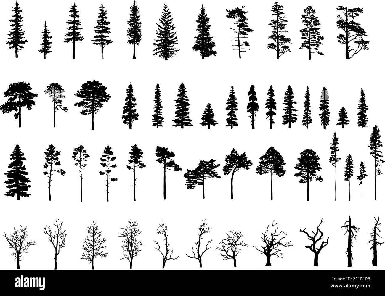 Set of tree silhouettes of different types and shapes isolated on white ...