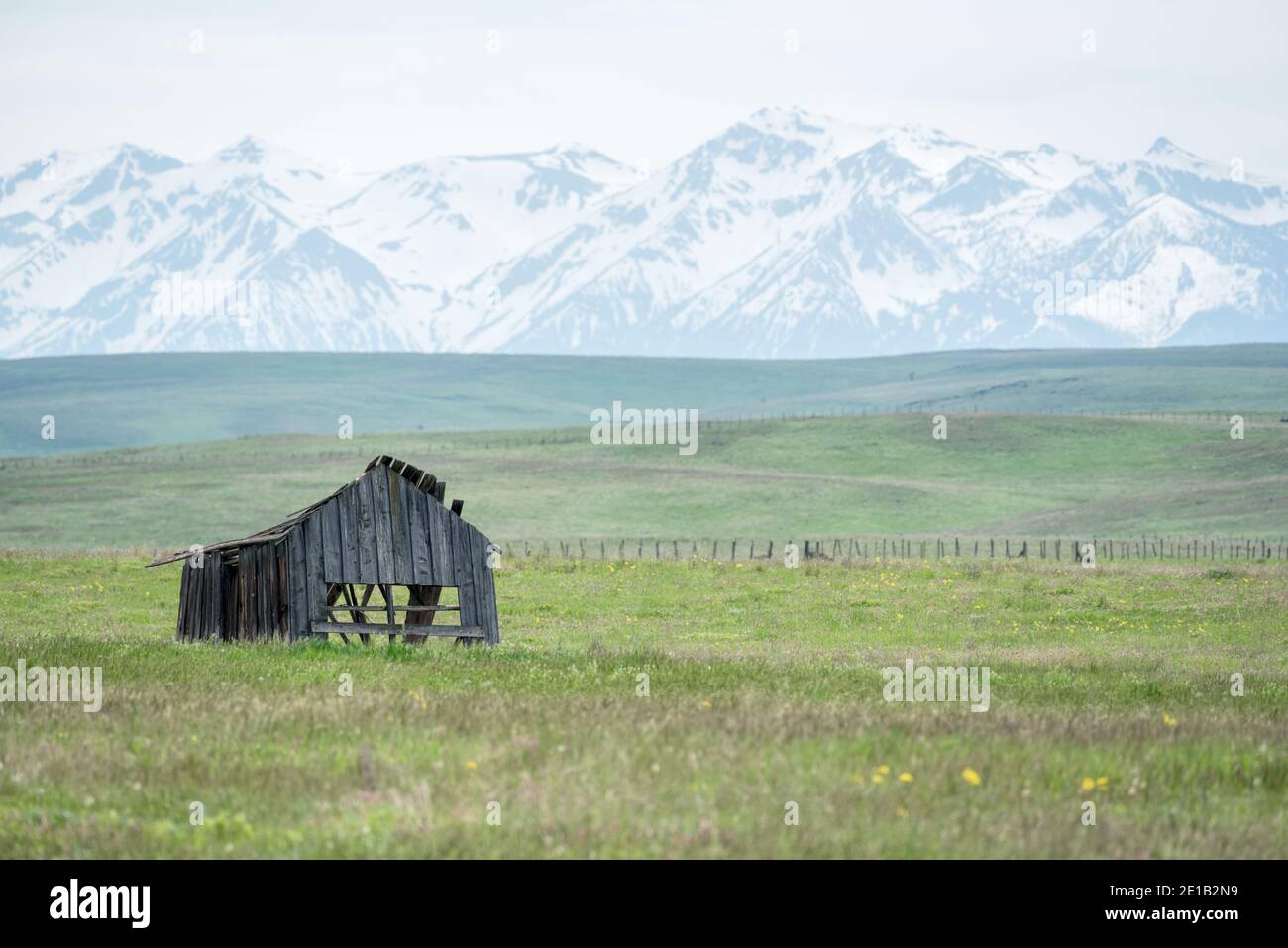 Old barn on Oregon's Zumwalt Prairie Stock Photo - Alamy
