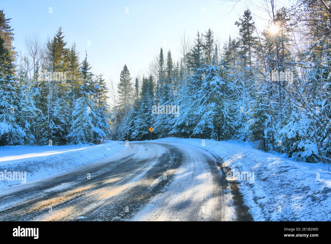 Snow laden evergreen trees hi-res stock photography and images - Alamy