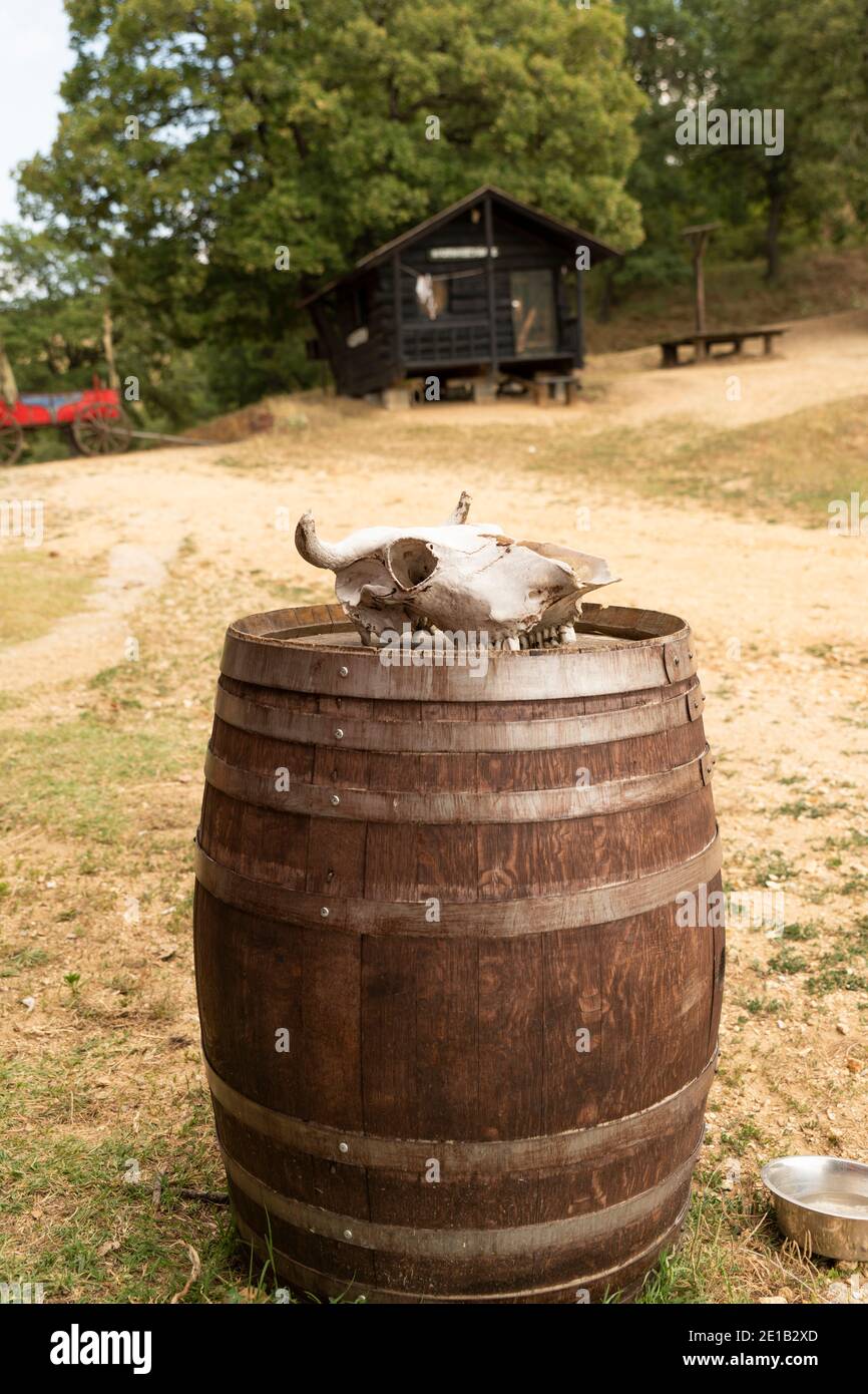 A Wooden Old barrel for Storing Alcoholic Beverages With a Cow Head ...