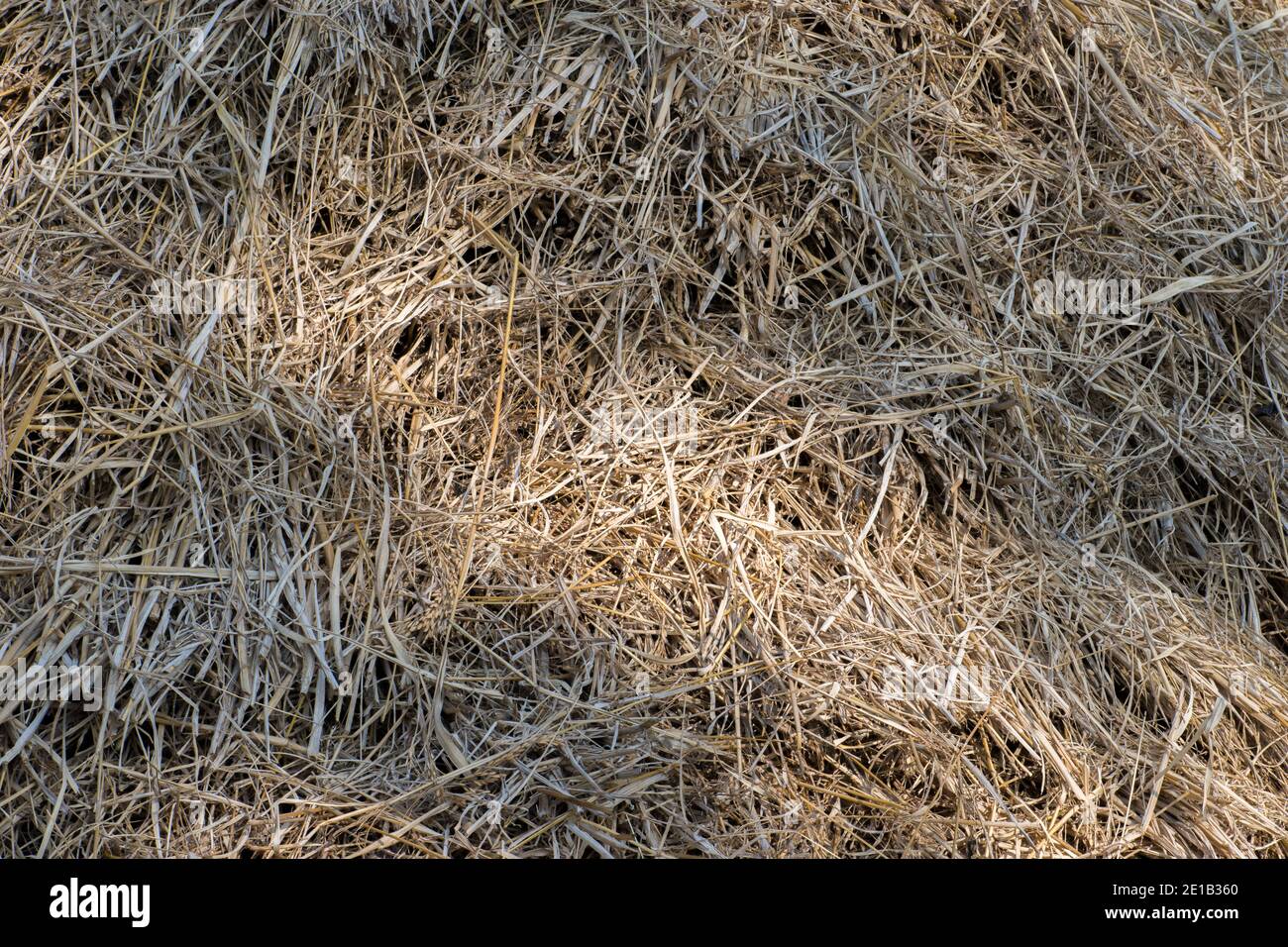 Rice straw, paddy storage grass background Stock Photo - Alamy