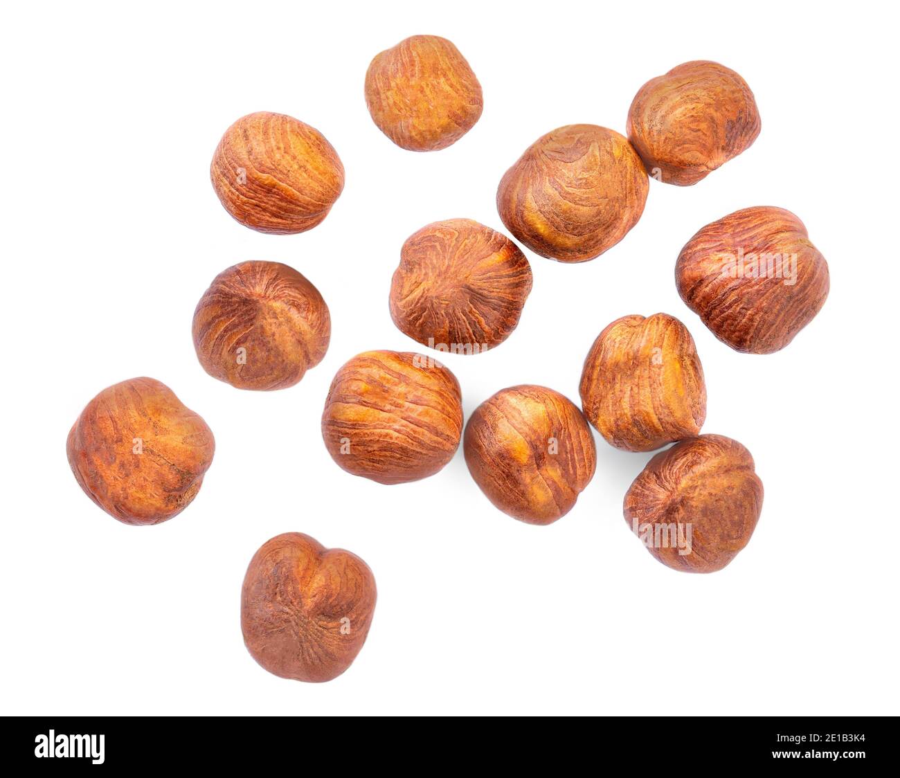 Hazelnutss isolated on white background. Creative food layout. Pattern ...