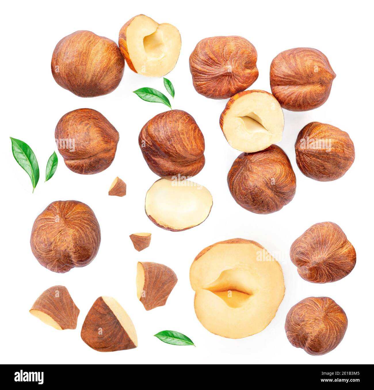 Hazelnuts whole and crushed pieces with green leaves isolated on a ...