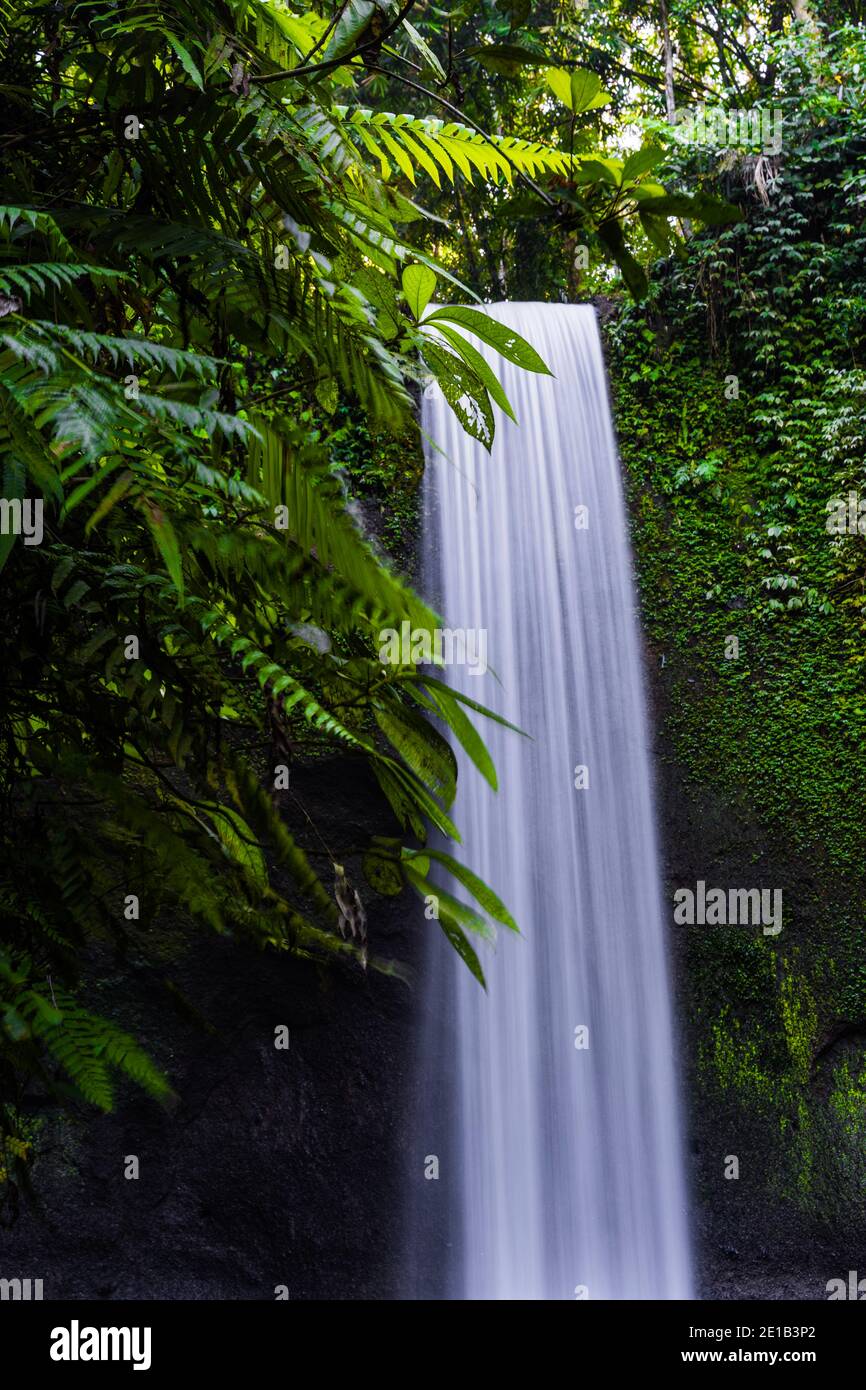 Tibumana waterfall in Bali Stock Photo - Alamy