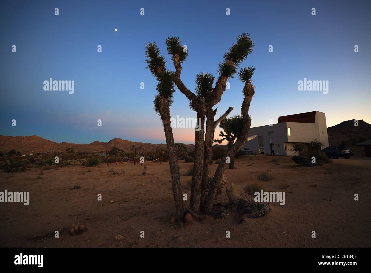 Joshua Tree, California, USA. 26th Dec, 2020. A modern desert style ...