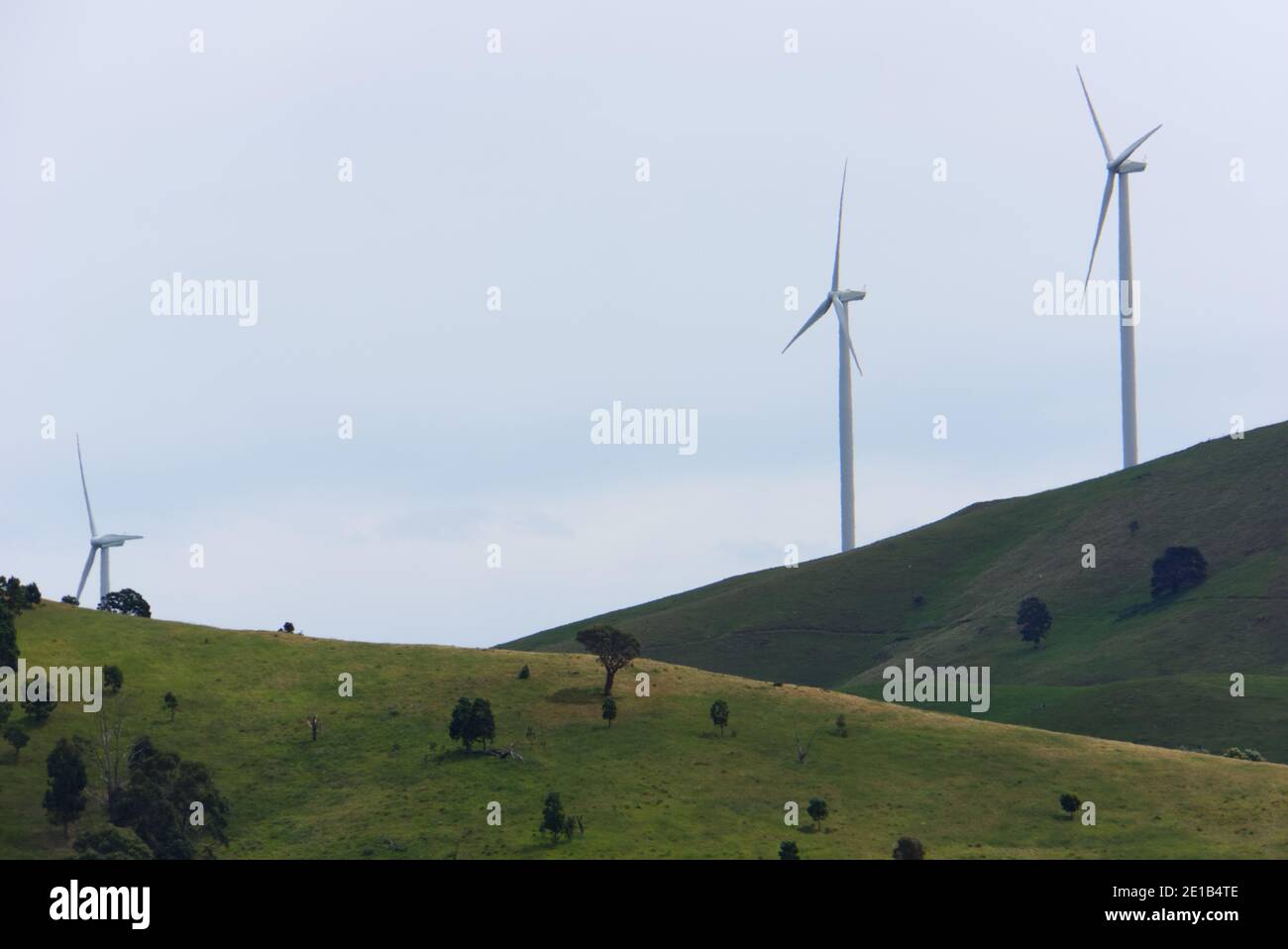 Wind turbine generators on a hillside generating electricity from wind ...
