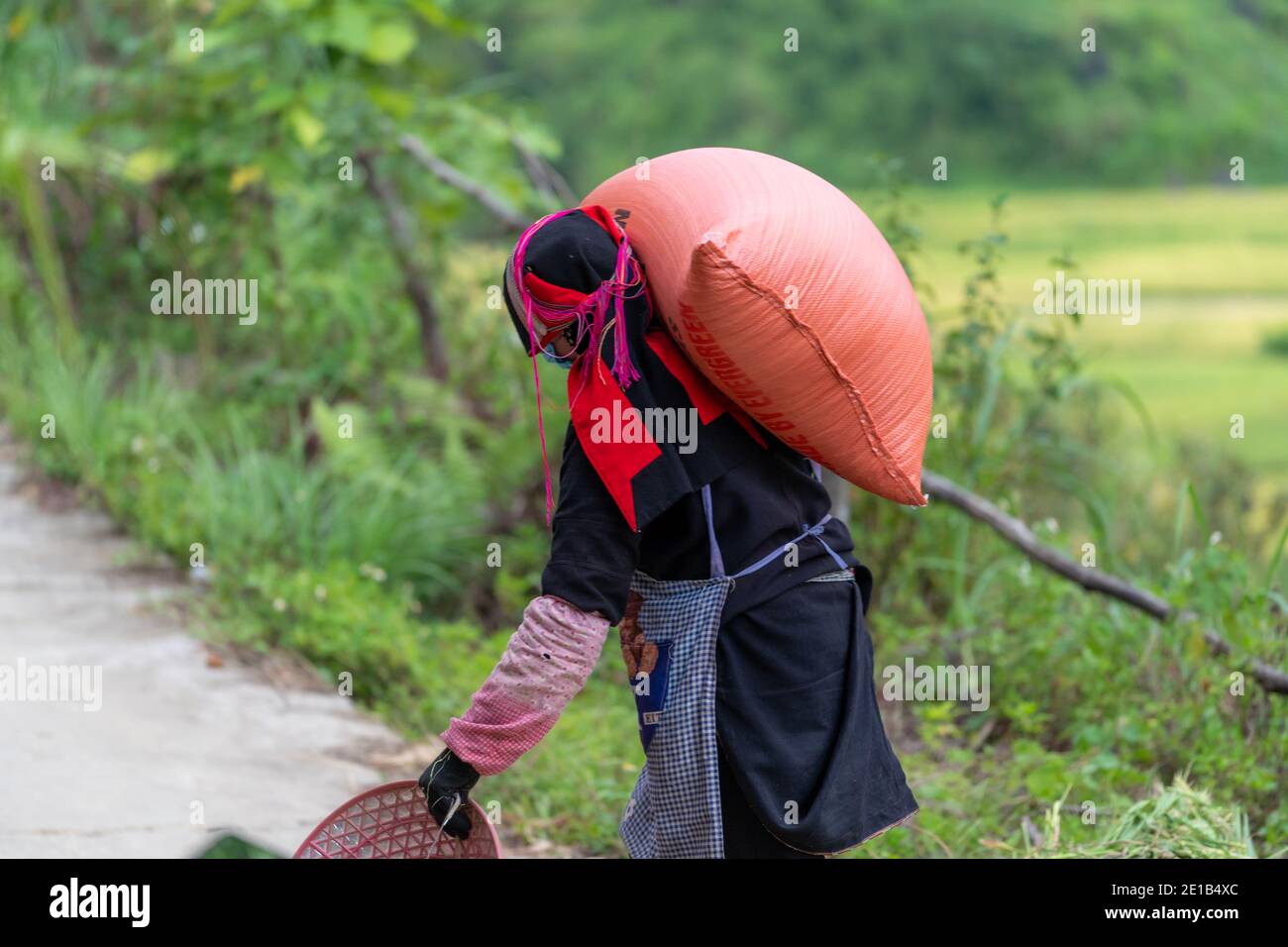 Farmer carrying a bag of freshly harvested rice Stock Photo - Alamy