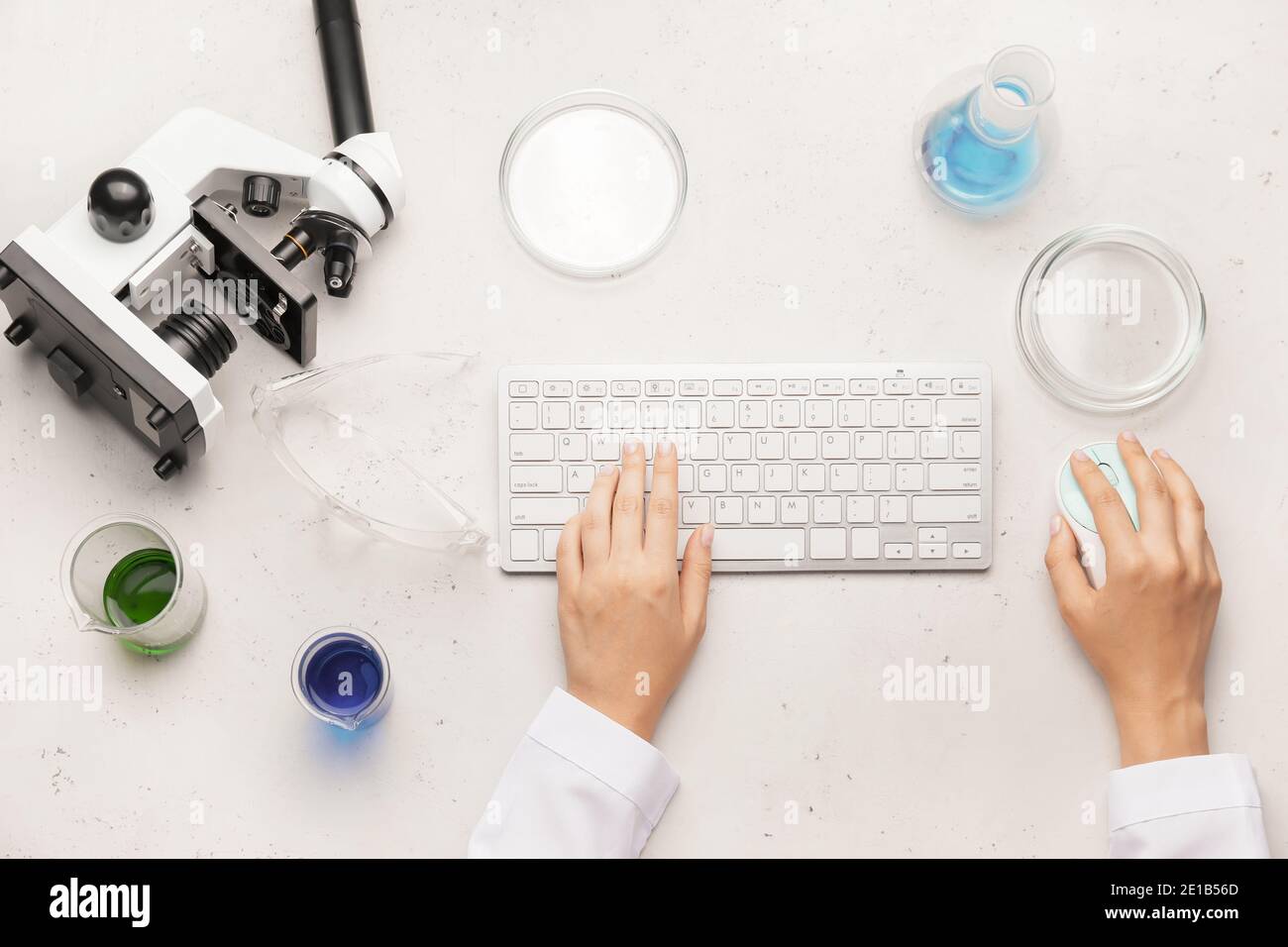 Female hands with computer keyboard, microscope and mouse on light ...