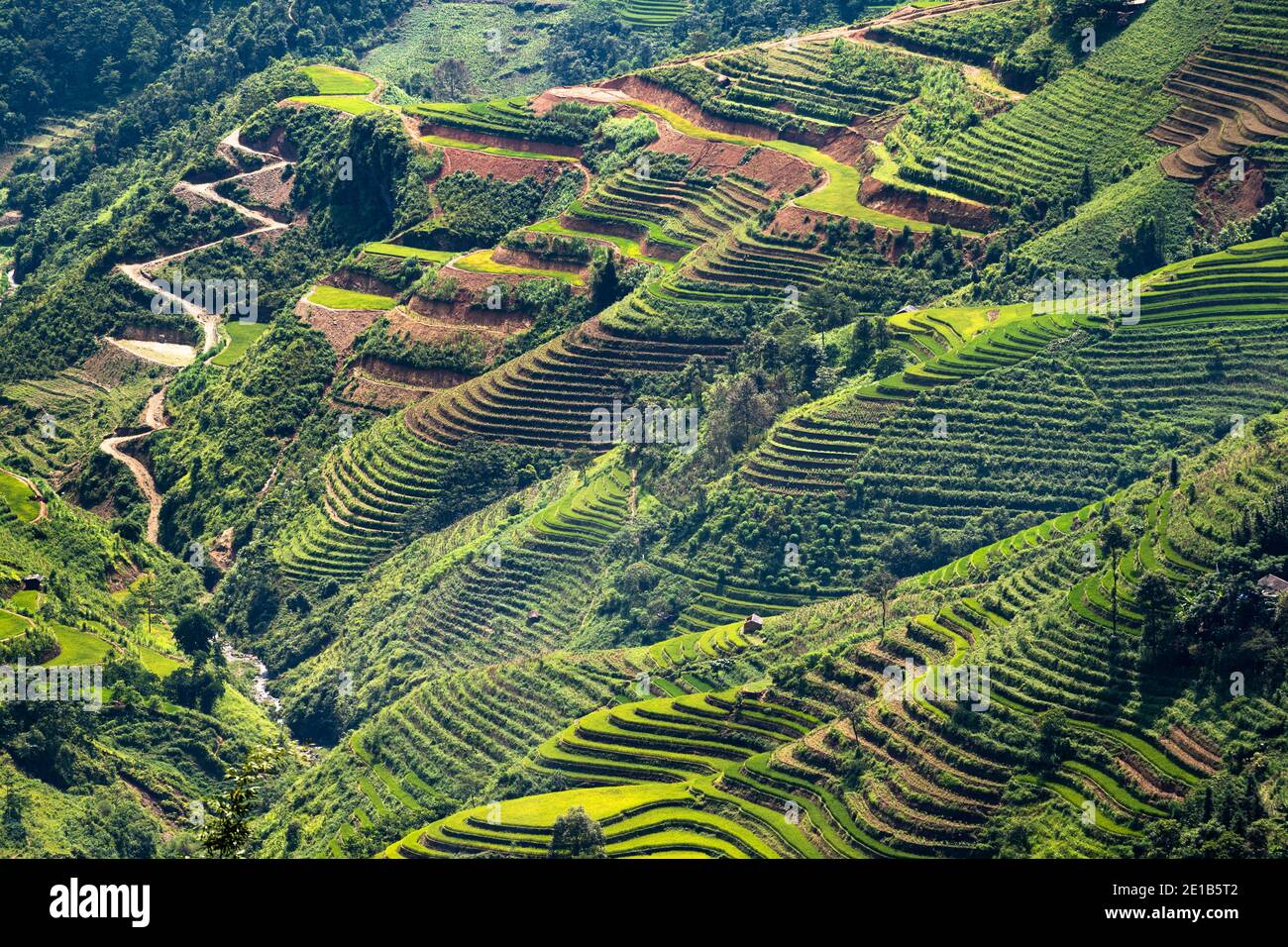 Vietnam hà giang terrace hi-res stock photography and images - Alamy