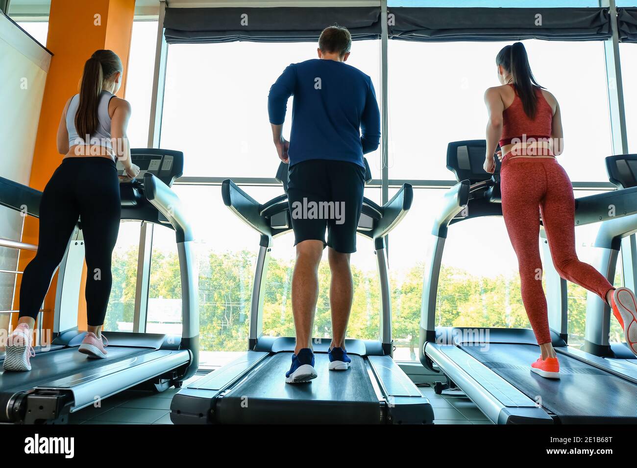People training on treadmills in gym Stock Photo - Alamy